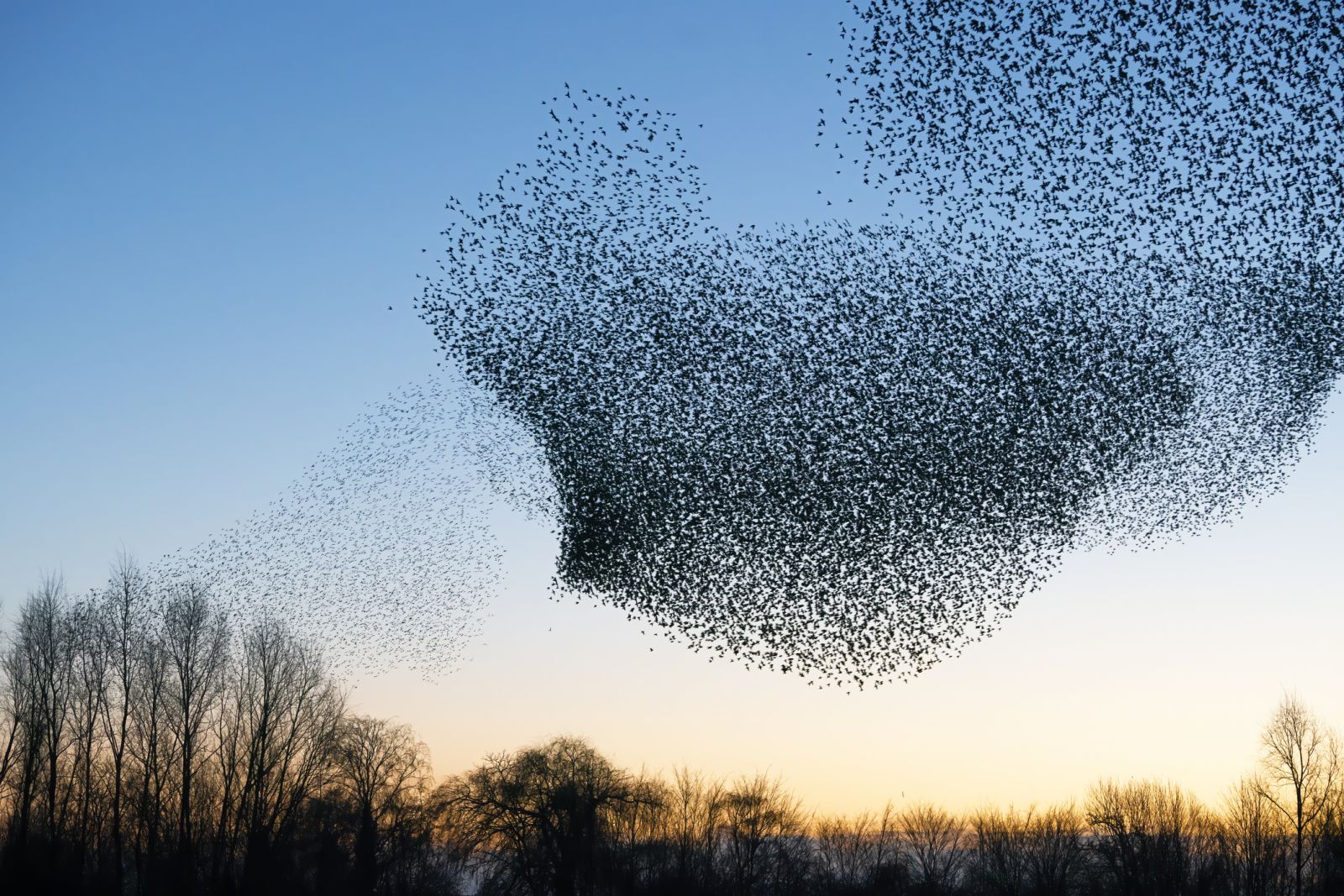 Courses: Climate Change: Transforming your Organisation for ... Courses: Climate Change: Transforming your Organisation for ...